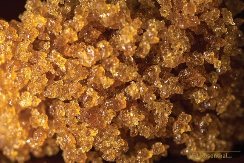 SafeLeaf.ca – Solventless: Plus 6 methods for DIY