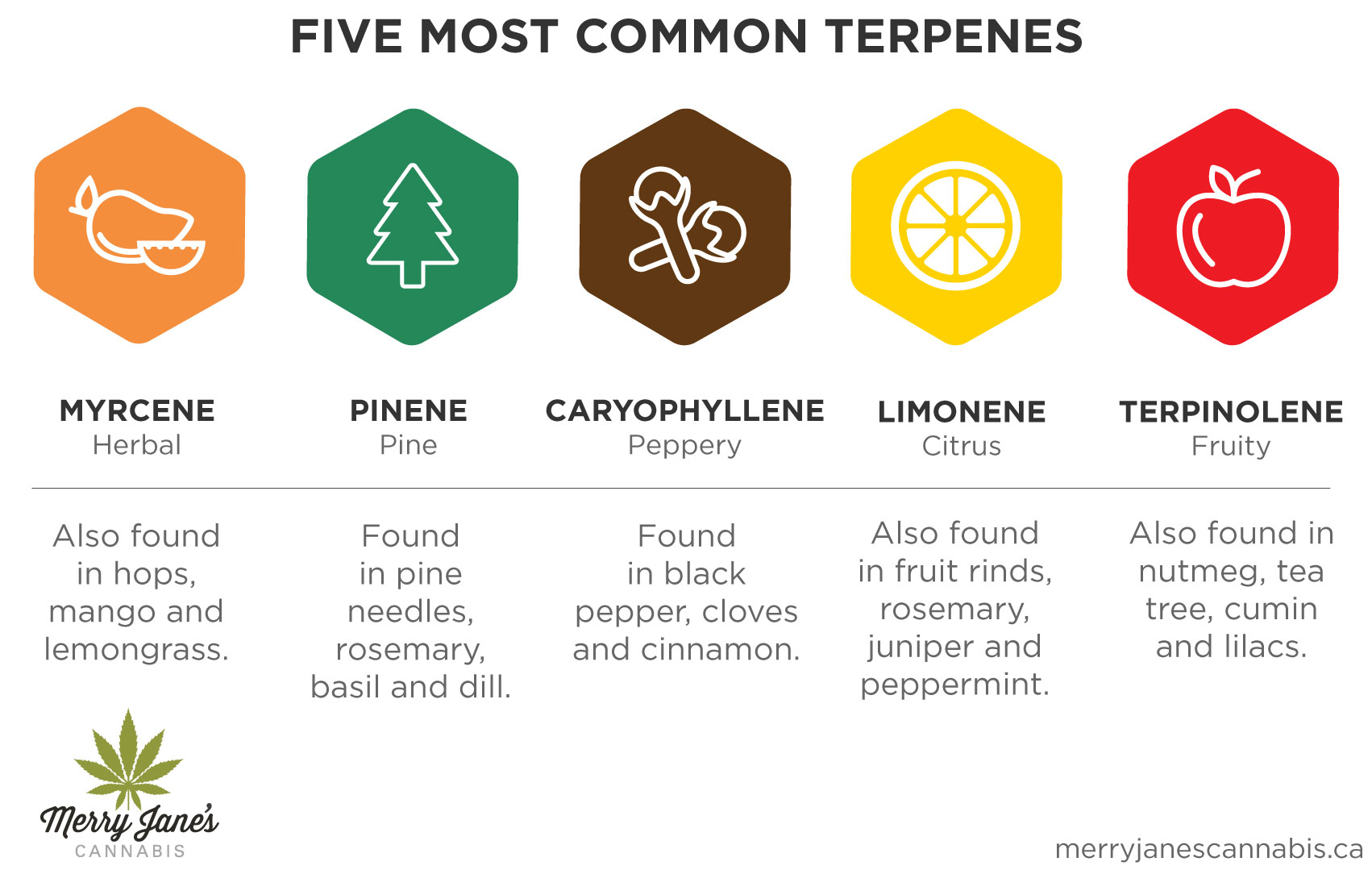 Terpenes In Cannabis